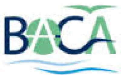 Brighton and Hove News » 2015 » August » 20