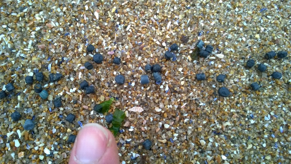 Thousands of plastic nurdles washed up on city beaches – Brighton and ...