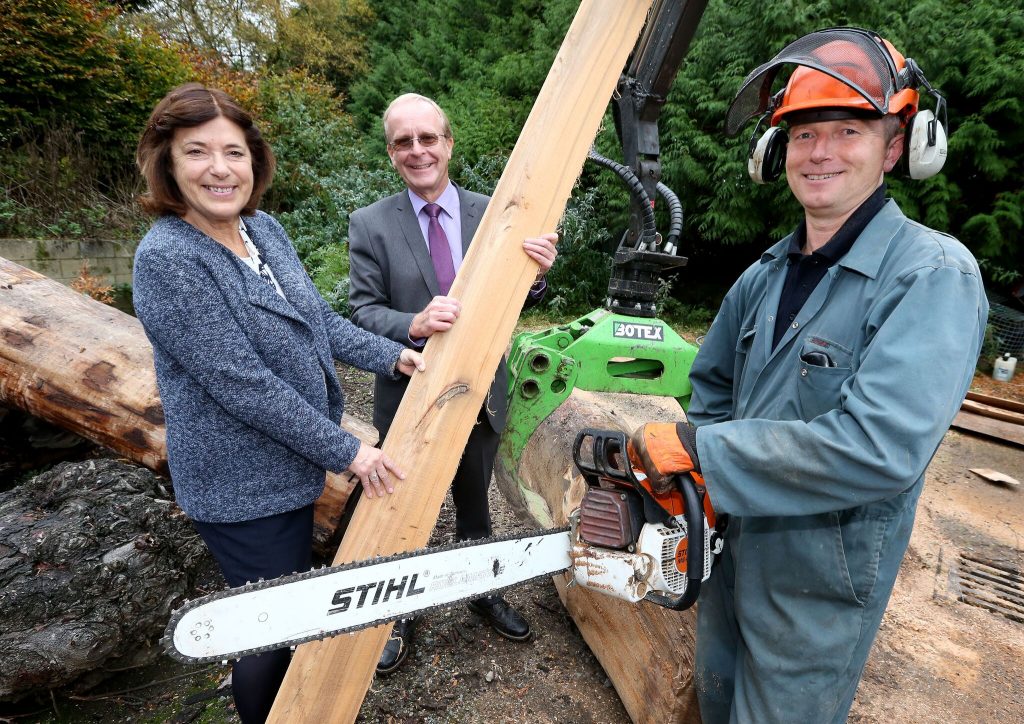 Elm trees made into cladding for new Stanmer cycle hire kiosk ...