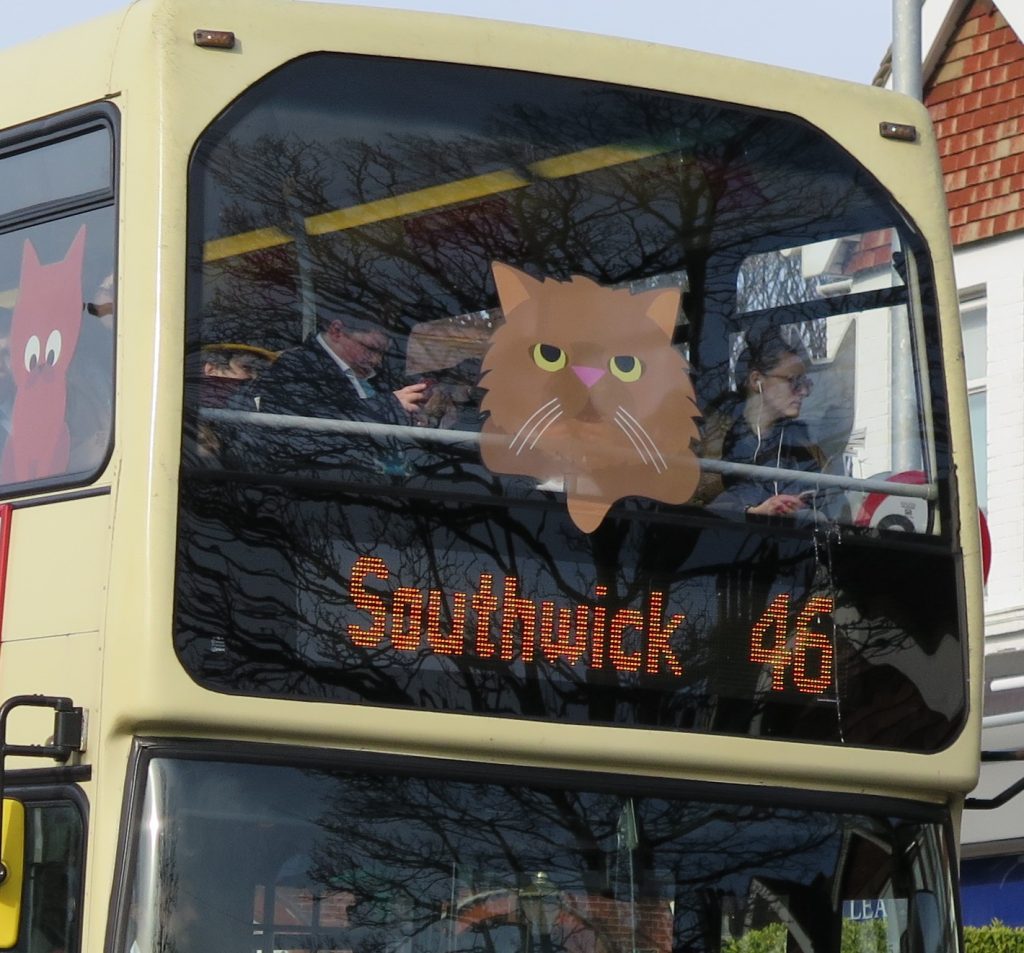 Fiveways Wilf immortalised in larger-than-life bus cartoons – Brighton ...