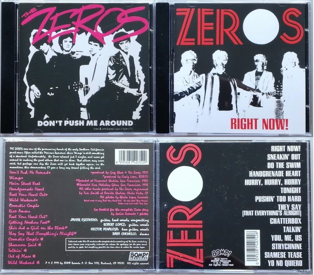 1976 US punk band The Zeros are top dollar! – Brighton and Hove News