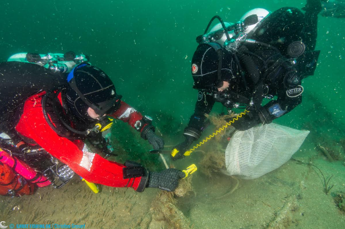 Divers recover 400lb of ‘ghost fishing gear’ from sea off Brighton ...