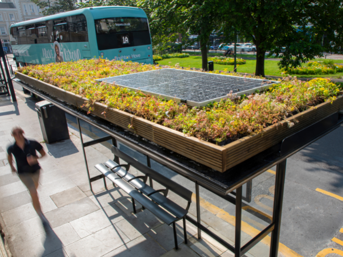 City s First Bee Bus Shelter Opens In Hove Brighton And Hove News
