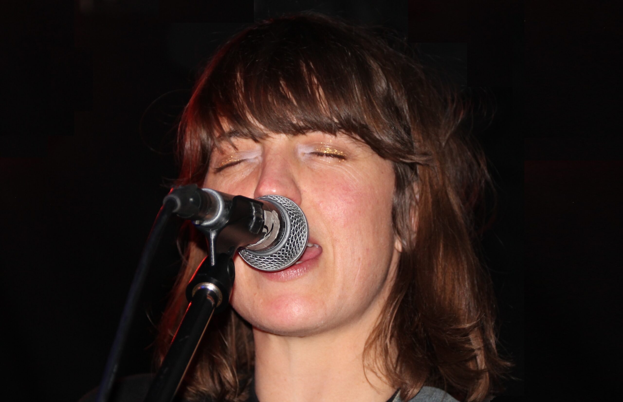 Brighton and Hove News » Rozi Plain and R.Dyer play Brighton’s Hope & Ruin