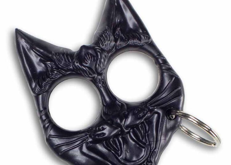 Addict caught with cat-shaped knuckle duster begs to be sent to prison ...