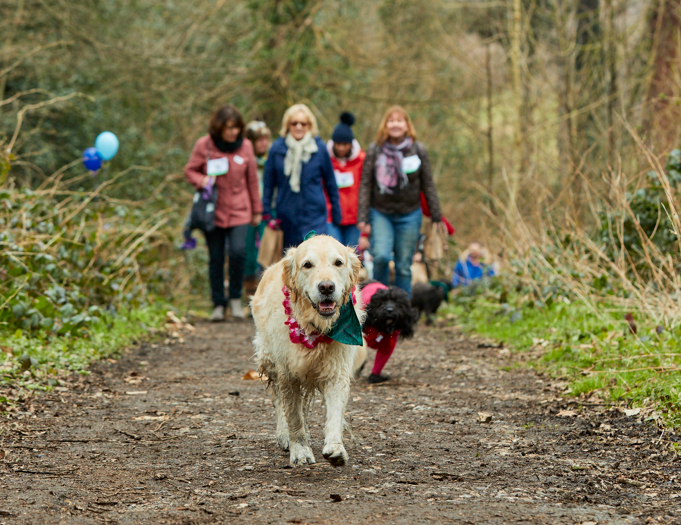 Dog owners given charity walkies challenge by Stand Up To Cancer ...