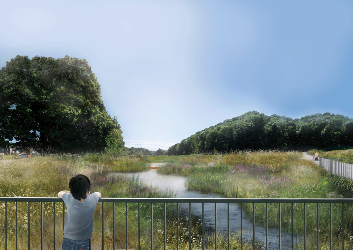 Wild Park rainscape work begins – Brighton and Hove News